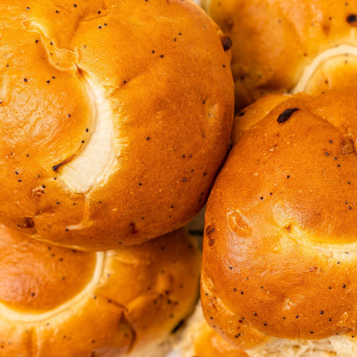 Zingerman's Deli | New Yorker Onion Roll 6-pack | Zingerman's Deli ...